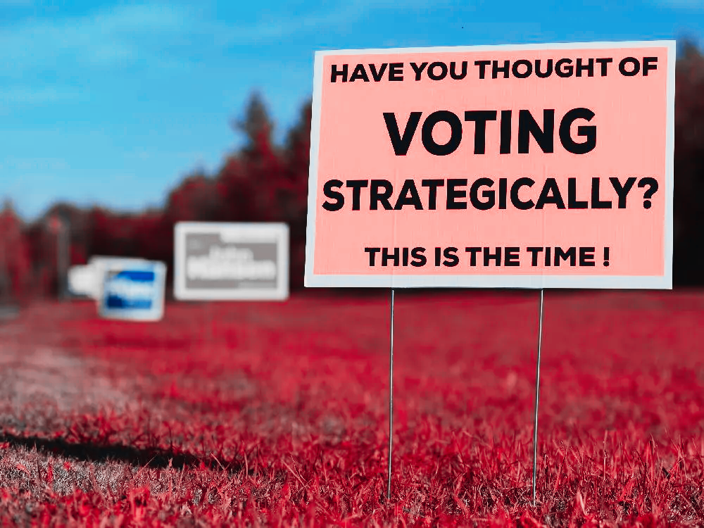Why Strategic Voting Fails Without Opposition Party Cooperation – Spark ...